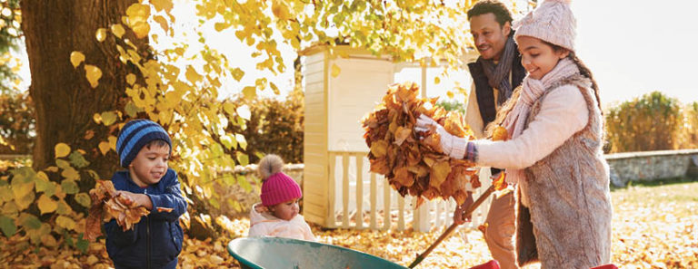 Pointer's ACE Hardware - Pointer's ACE Hardware